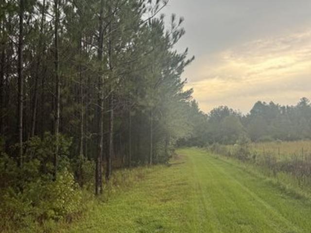 1351 Rogers Rd, Glennville, GA 30427