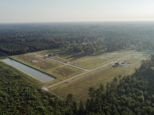 13524 Eagles Park Dr, Denham Springs, LA 70726