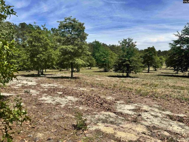 1353 Cheraw Rd
