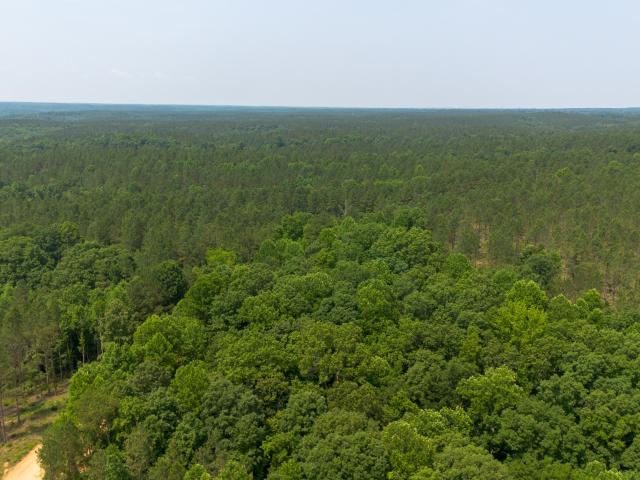 1353 Copperas Branch Rd
