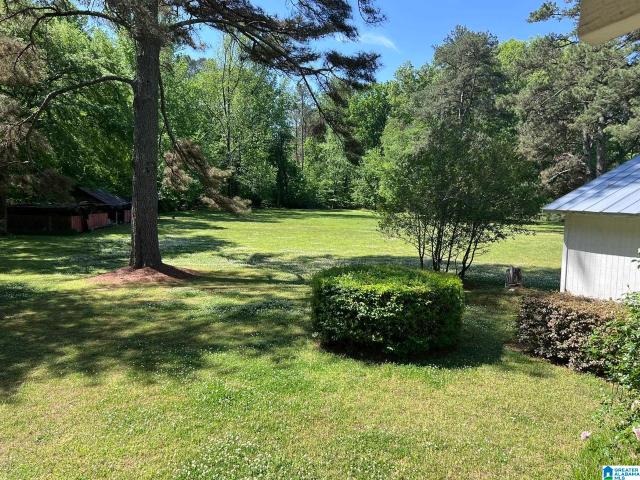 1353 Highway 124