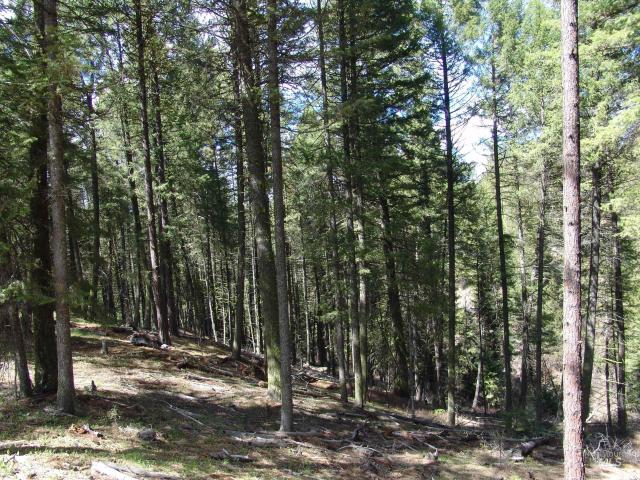 1353 Sterling Dr, Cascade, ID 83611 | MLS #98909 | Compass