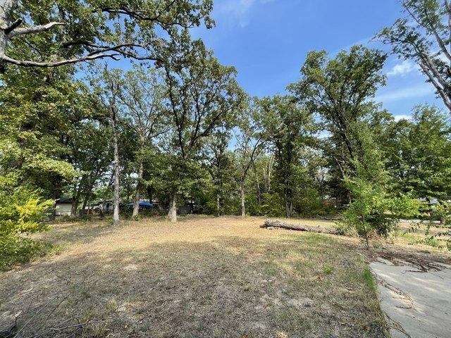 1353 Shady Ln, Canton, TX 75103