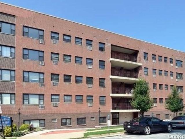 135 3rd Ave #LA, Mineola, NY 11501