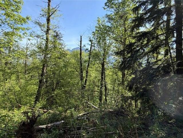 135 415th Way SE, North Bend, WA 98045