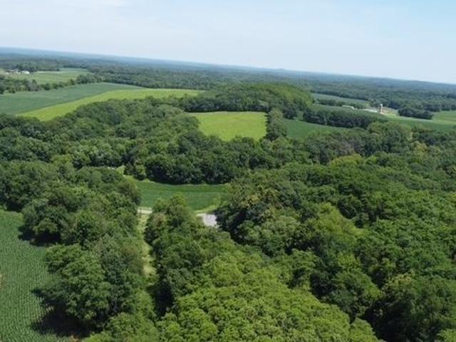 135.45 acres Costigan Road
