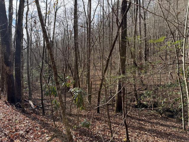 135.49 ac Webb Creek Rd, Andrews, NC 28901 | MLS #420597