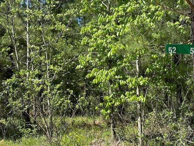 135 Crooked Stick Trail