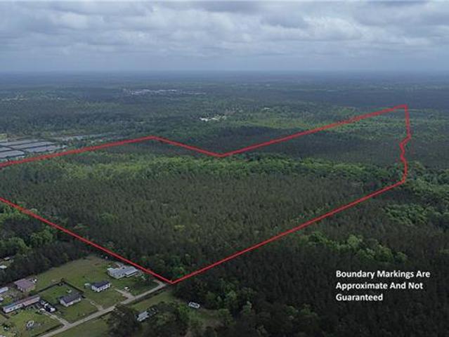 135 acres Belle Wood Dr, Holden, LA 70744 | MLS #2549