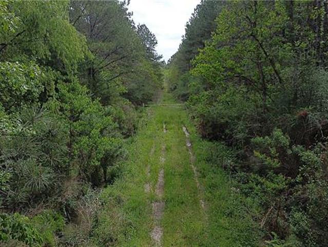 135 acres Belle Wood Dr, Holden, LA 70744 | MLS #2549 | Compass