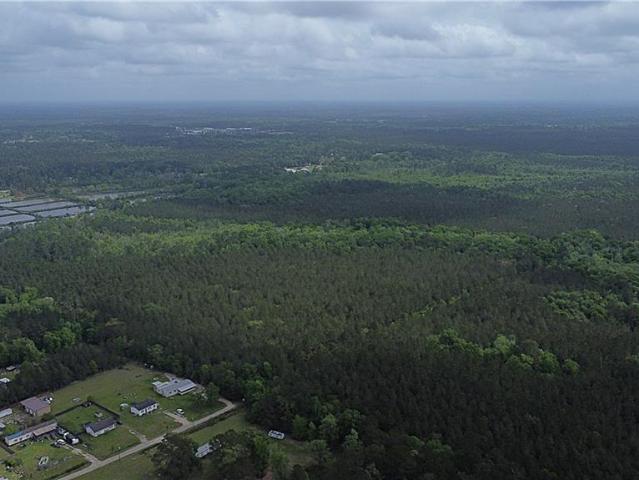 135 Acres Belle Woods Drive