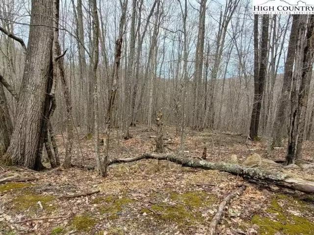 135 Arrowhead Rd, Beech Mountain, NC 28604 MLS 249185