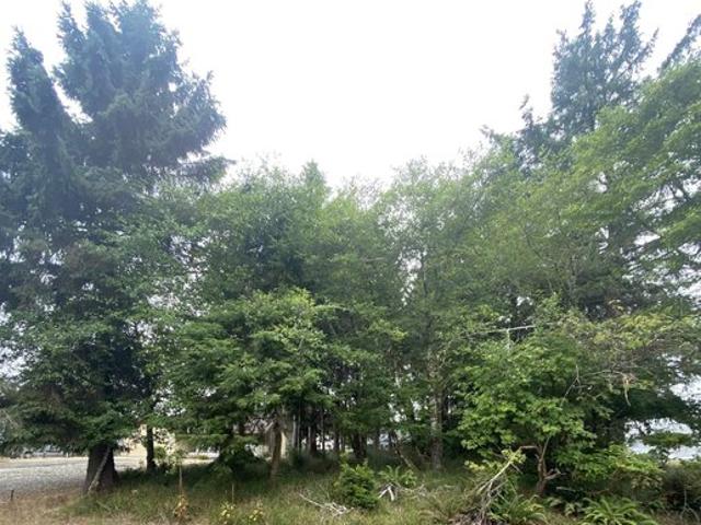 135 Duck Lake Dr NE, Ocean Shores, WA 98569