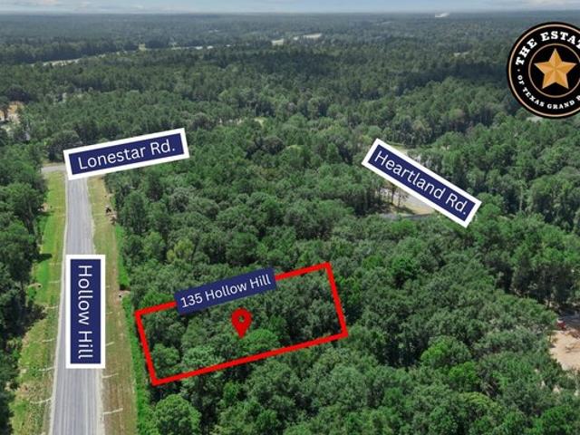 135 Hollow Hill Dr, New Waverly, TX 77358