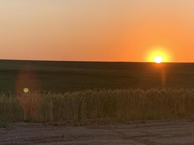135 Hunter St, Ceresco, NE 68017