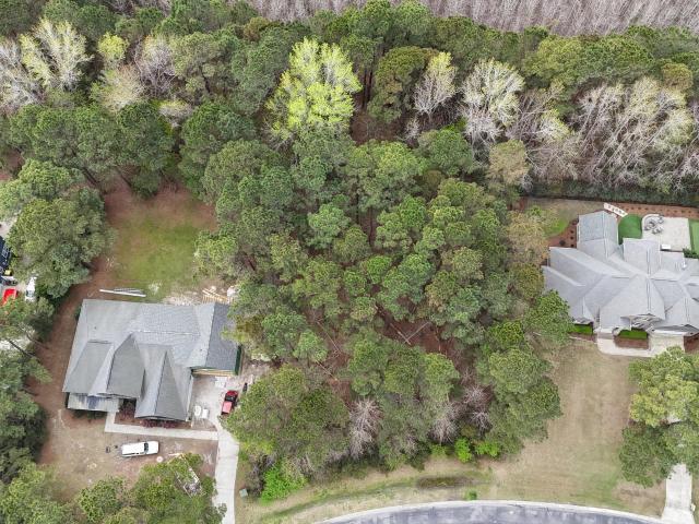 135 Hydrangea Lane