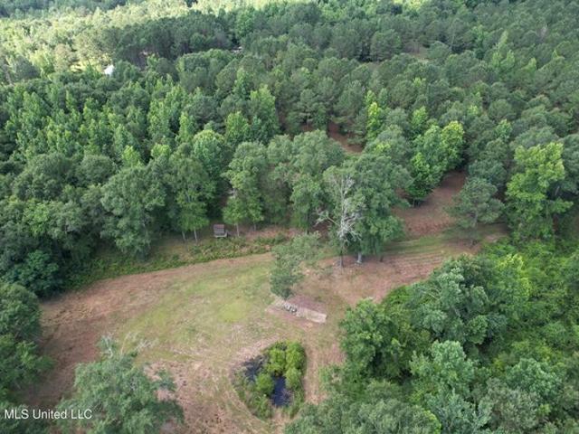 135 Joe Booth Rd, Taylorsville, MS 39168