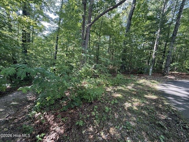 135 Oakview Rd, Farner, TN 37333
