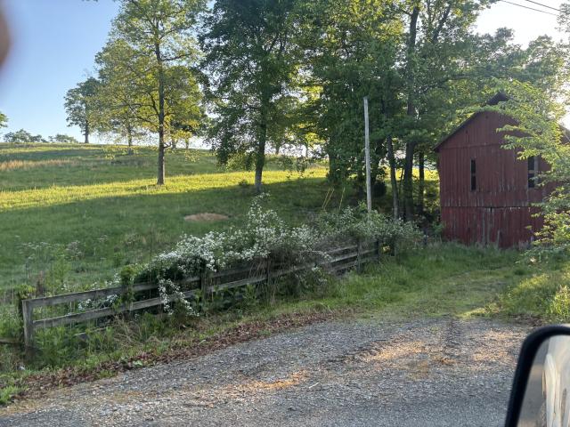 135 Louise Creek Rd