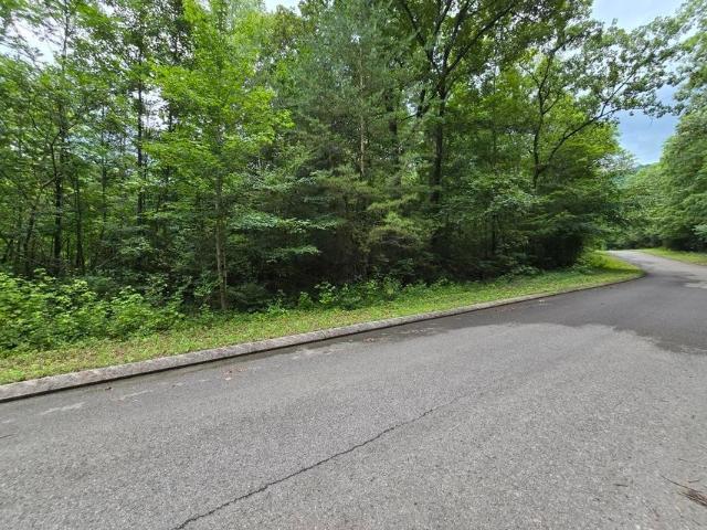 135 Lower Brow Road