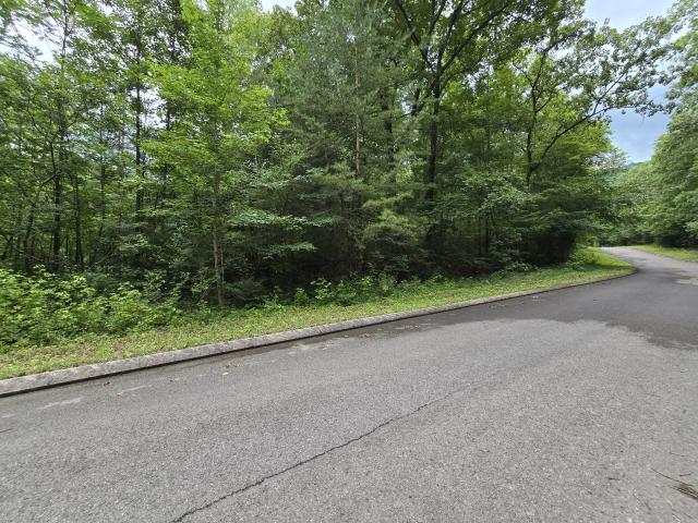 135 Lower Brow Road