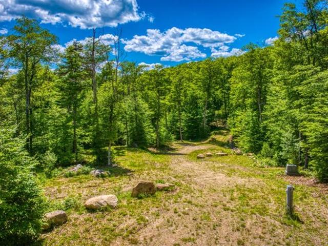 135 Mountain Ln, Lake Placid, NY 12946