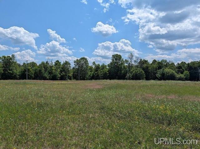 135 Maple St, White Pine, MI 49971