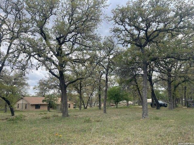 135 Pullman Rd, La Vernia, TX 78121