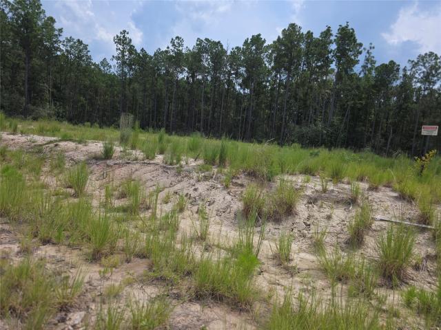 135 Rayburn Reserve Dr, Brookeland, TX 75931 | MLS #34605
