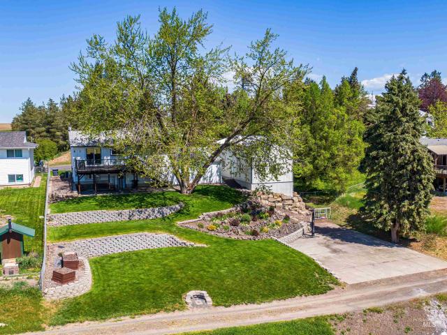 135 W Persimmon