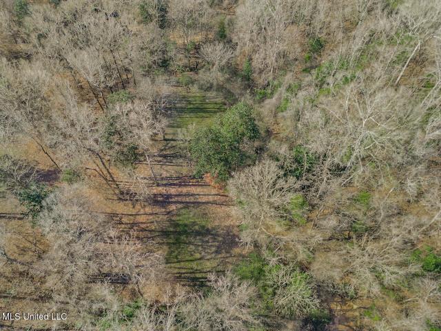 13645 Louisiana 10