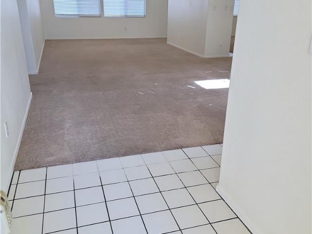 1364 Colt Drive