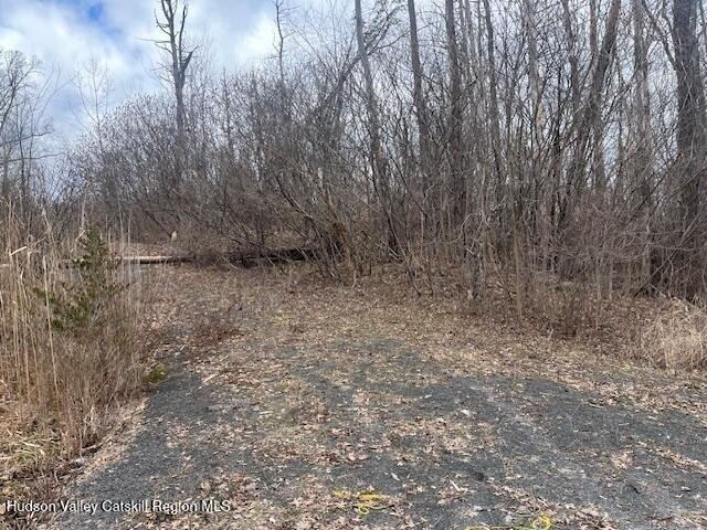 1364 Flint Mine Rd, Coxsackie, NY 12051