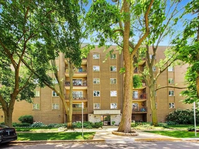 1365 Ashland Ave Apt 501, Des Plaines, IL 60016