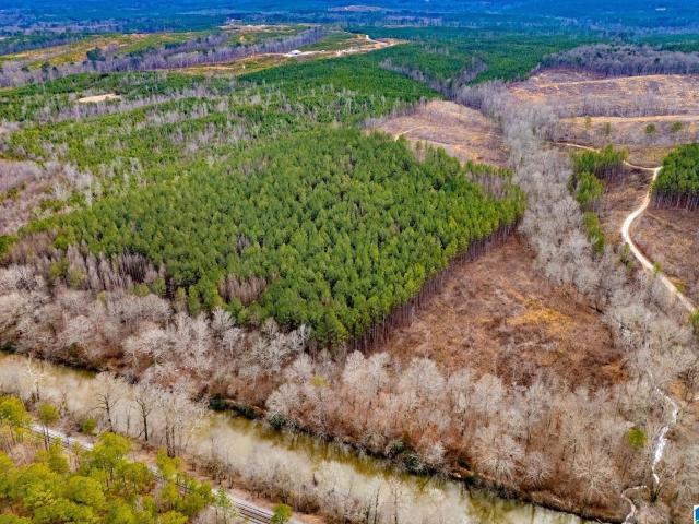 1365 County Road 290 # 0