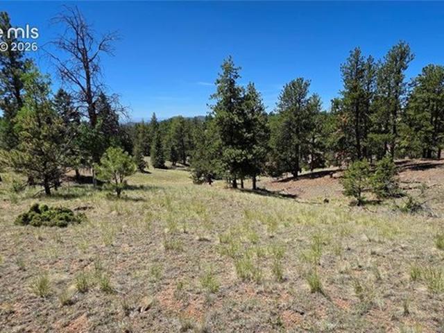 1366 N Mountain Estates Rd, Florissant, CO 80816