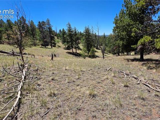 1366 N Mountain Estates Road