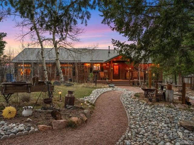 1366 Vagabond Creek Dr, Lake George, CO 80827
