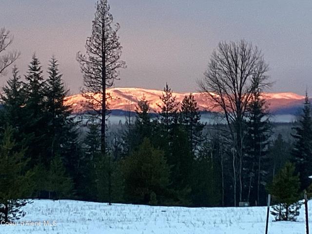 1367 Mud Gulch Rd, Priest River, ID 83856 | MLS #26 1827