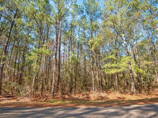 13681 CR 201 Loop Lane