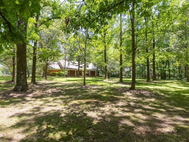 1368 dexter ln