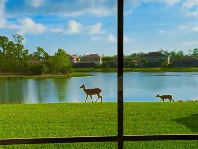 13606 Messino Ct, Estero, FL 33928 | MLS #226017