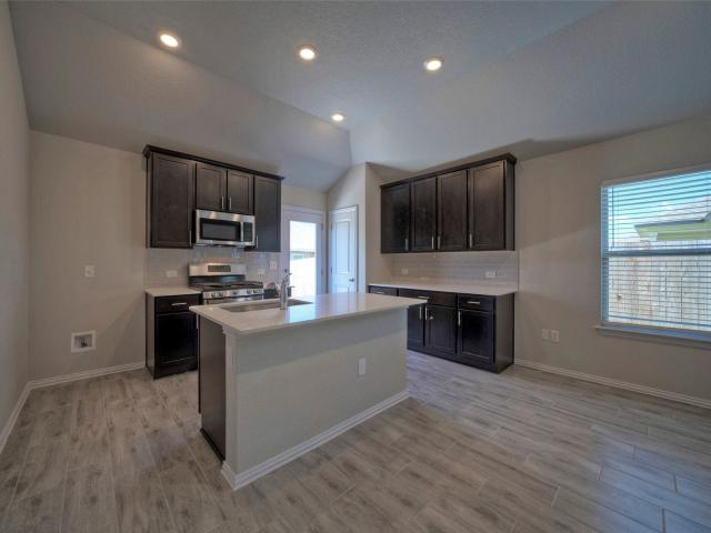 13608 Bullhorn Acacia Pass, Manor, TX