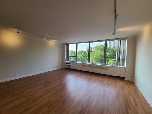 1360 N Sandburg Terrace # 410