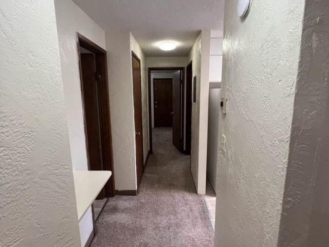 1360 Alder St. 1 Bedroom Apartment for Rent at 1360 Alder St, Eugene, OR 97401 West University