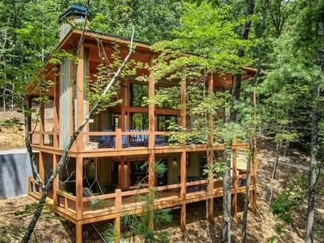 1360 Black Ankle Creek Rd, Blue Ridge, GA 30513
