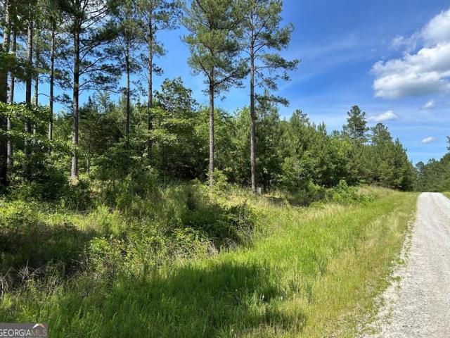 1360 Hornets Bridge Dr, Elberton, GA 30635 MLS 10300752