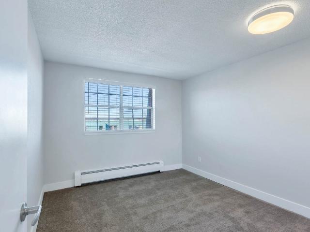 1360 Williams 1 Bedroom Apartment for Rent at 1360 N Williams St, Denver, CO 80218 Cheeseman Park