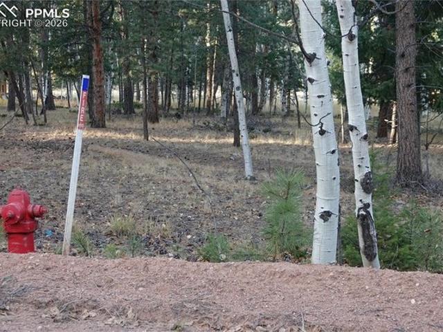 1360 Windflower Ln, Woodland Park, CO 80863