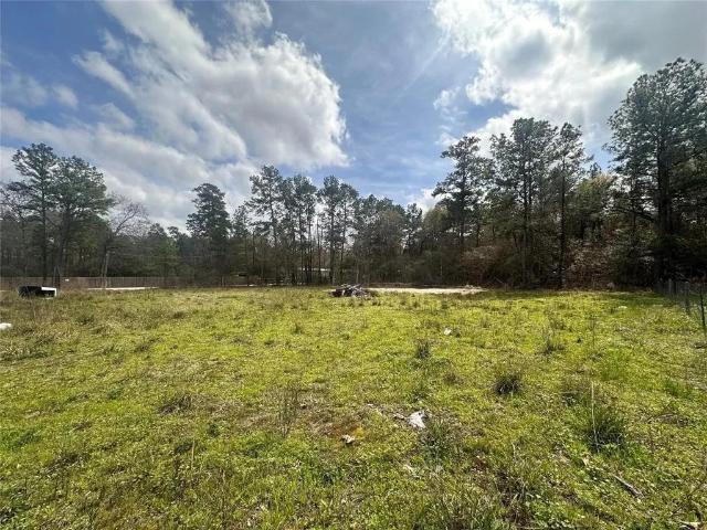 13614 Live Oak